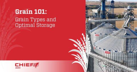Grain 101: Grain Types and Optimal Storage From Chief Agri - Chief Agri