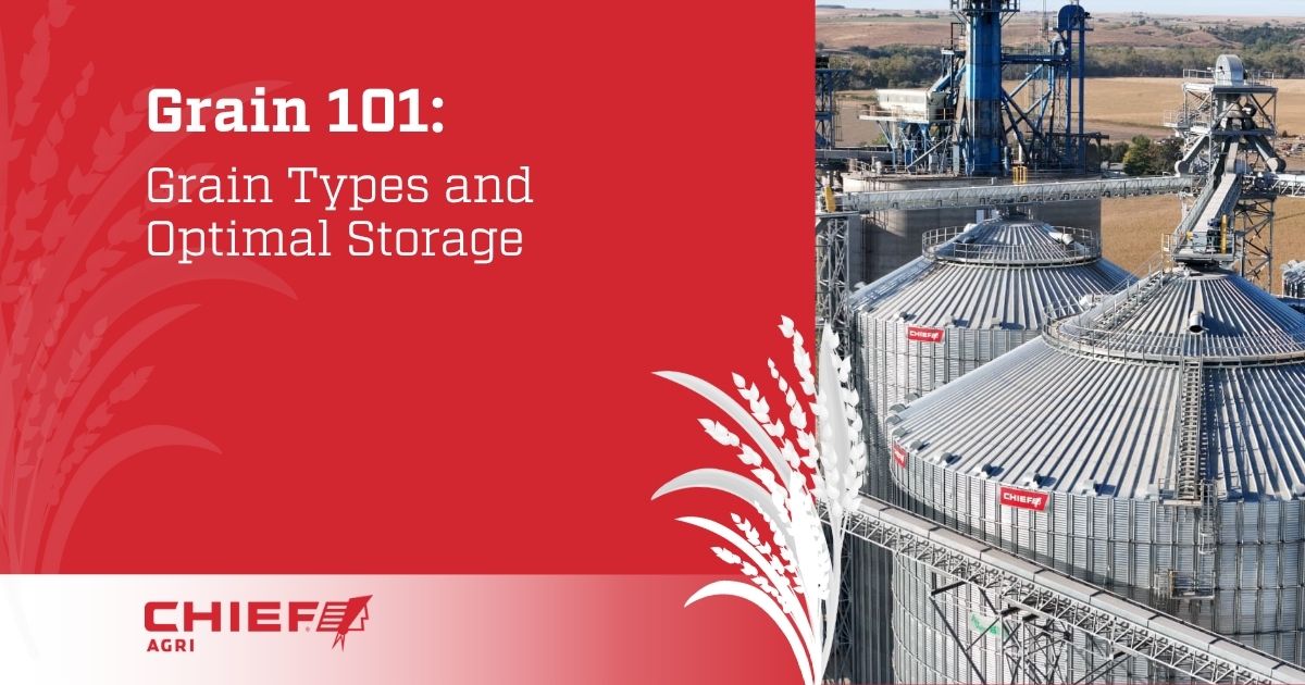 Grain 101: Grain Types and Optimal Storage From Chief Agri - Chief Agri
